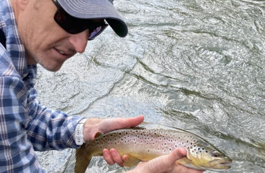 Jackson River Fishing Guides - Fish for Trout on the Jackson River